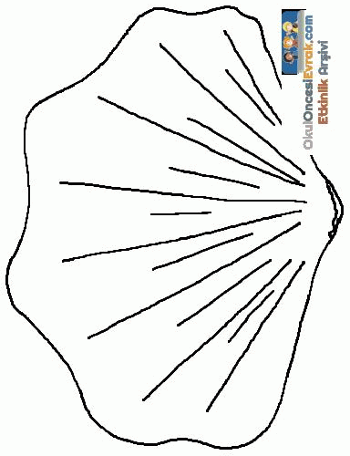 cockle-shell-coloring-page-sea-shell-clipart-7 | preschool activity