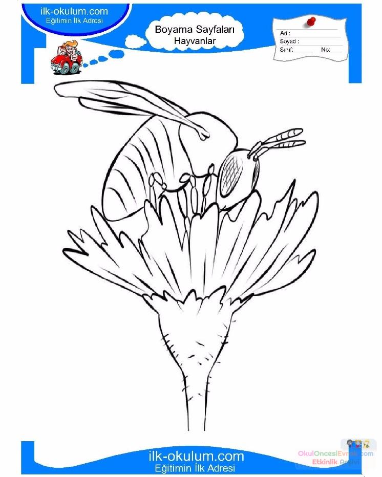 çocuklar-için-Arı-hayvan-boyama-sayfası-24 | preschool activity