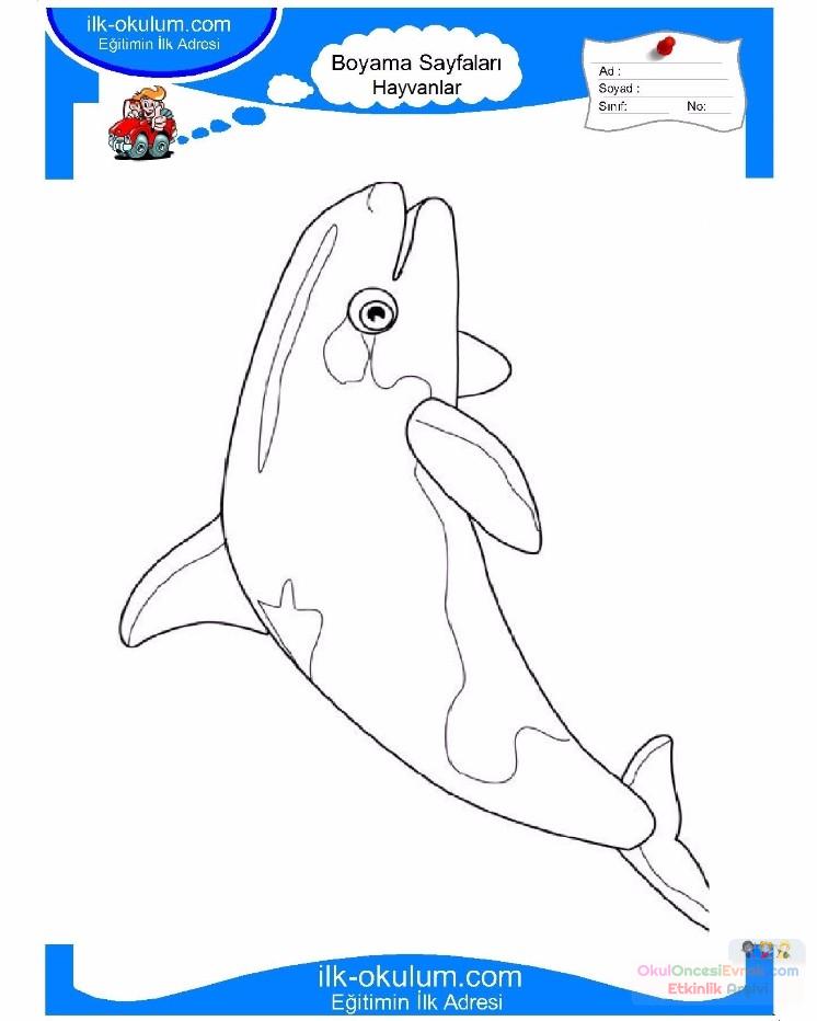 çocuklar-için-hayvan-Balina-boyama-sayfası-4 | preschool activity
