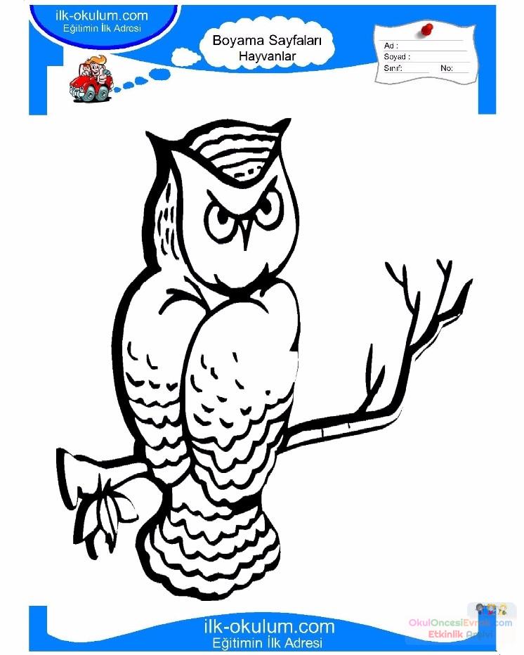 çocuklar-için-hayvan-Baykuş-boyama-sayfası-33 | preschool activity