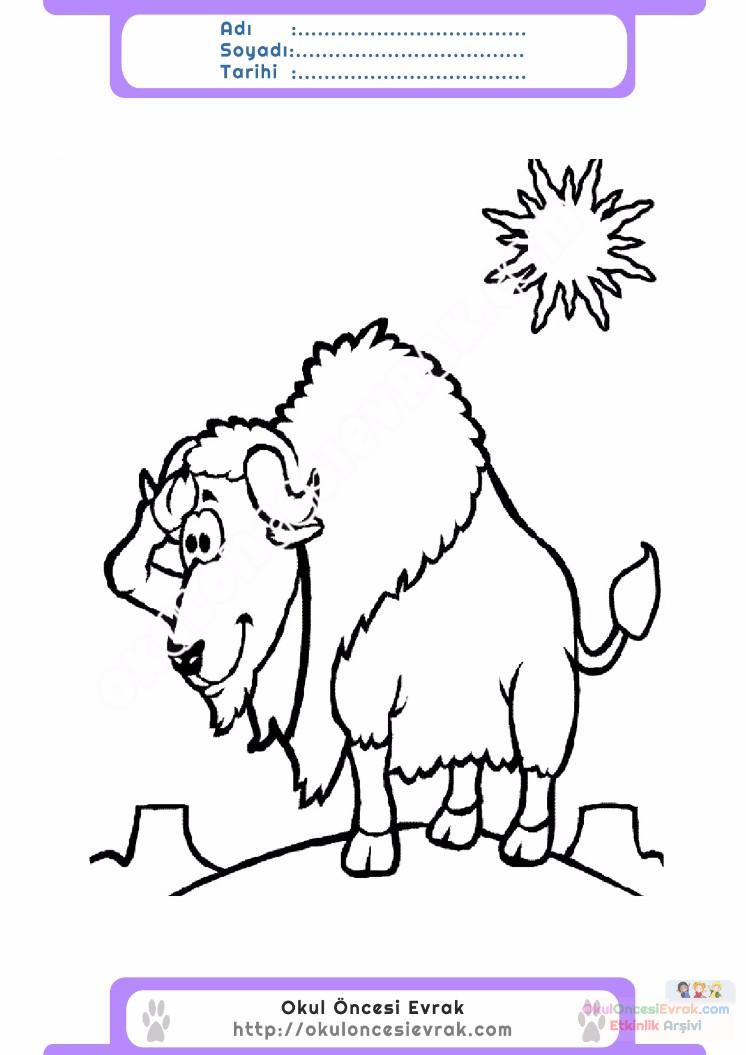 çocuklar-için-hayvan-Boğa-boyama-sayfası-1 | preschool activity
