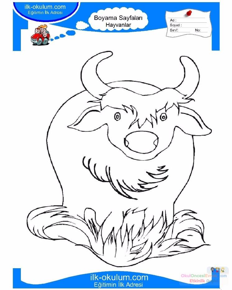 çocuklar-için-hayvan-Boğa-boyama-sayfası-12 | preschool activity
