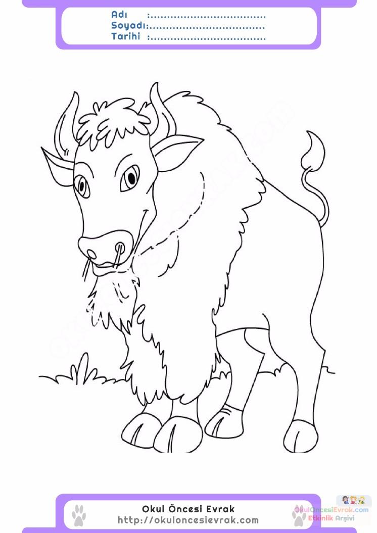 çocuklar-için-hayvan-Boğa-boyama-sayfası-2 (1) | preschool activity