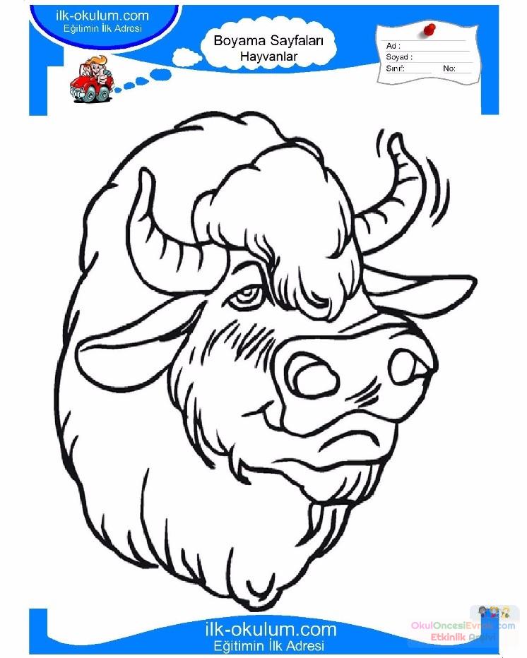 çocuklar-için-hayvan-Boğa-boyama-sayfası-4 | preschool activity