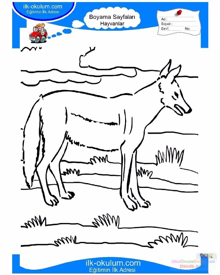 çocuklar-için-hayvan-Çakal-boyama-sayfası-4 | preschool activity