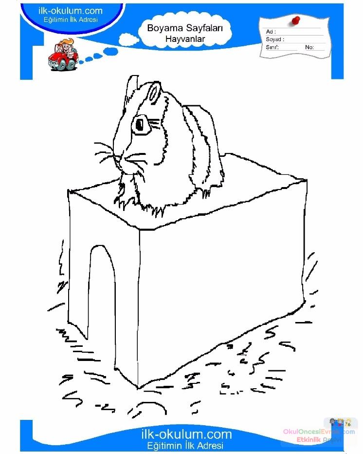 çocuklar-için-hayvan-hayvan-Fare-boyama-sayfası-2 | preschool activity
