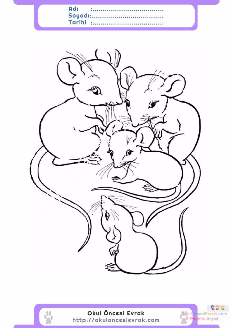 çocuklar-için-hayvan-hayvan-Fare-boyama-sayfası-29 | preschool activity