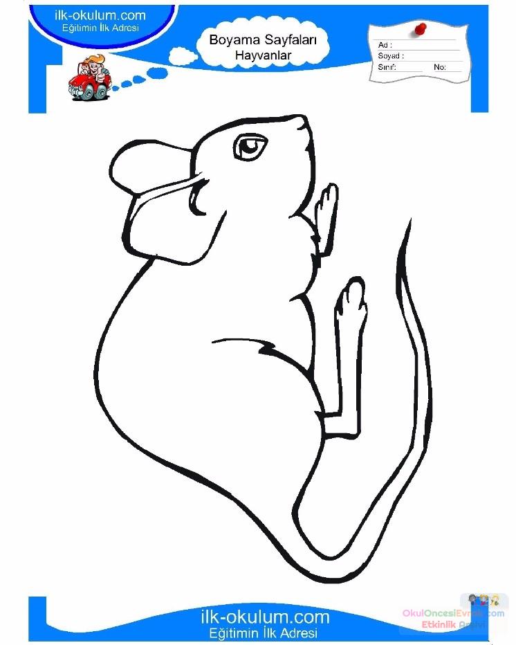 çocuklar-için-hayvan-hayvan-Fare-boyama-sayfası-30 | preschool activity