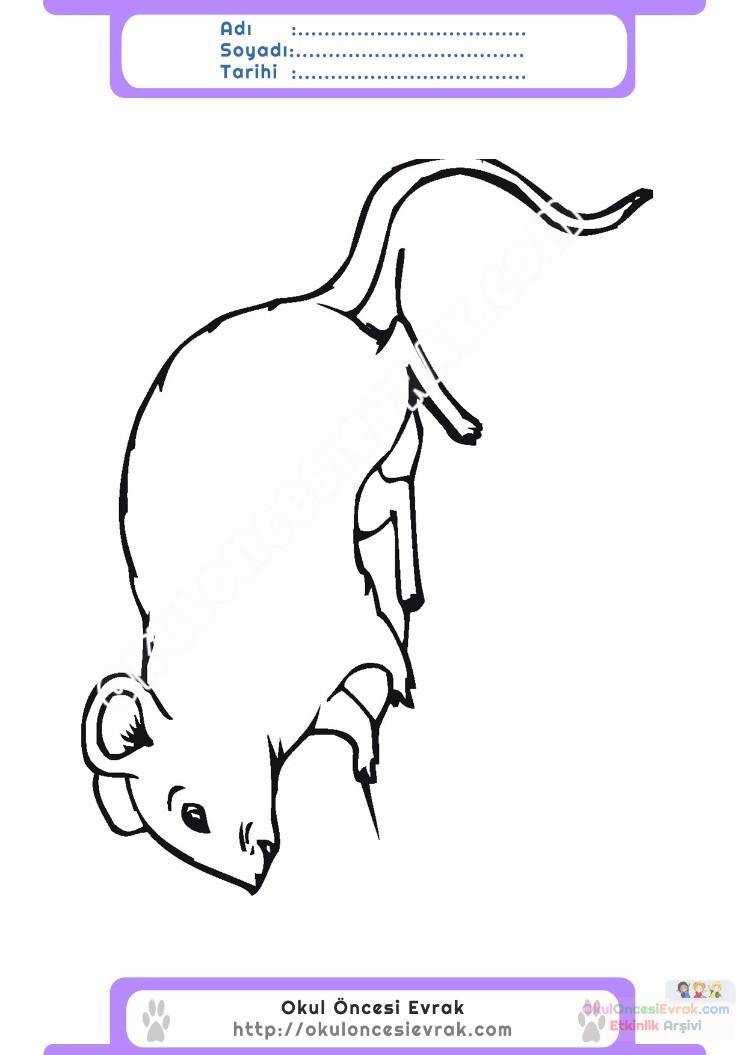 çocuklar-için-hayvan-hayvan-Fare-boyama-sayfası-31 | preschool activity