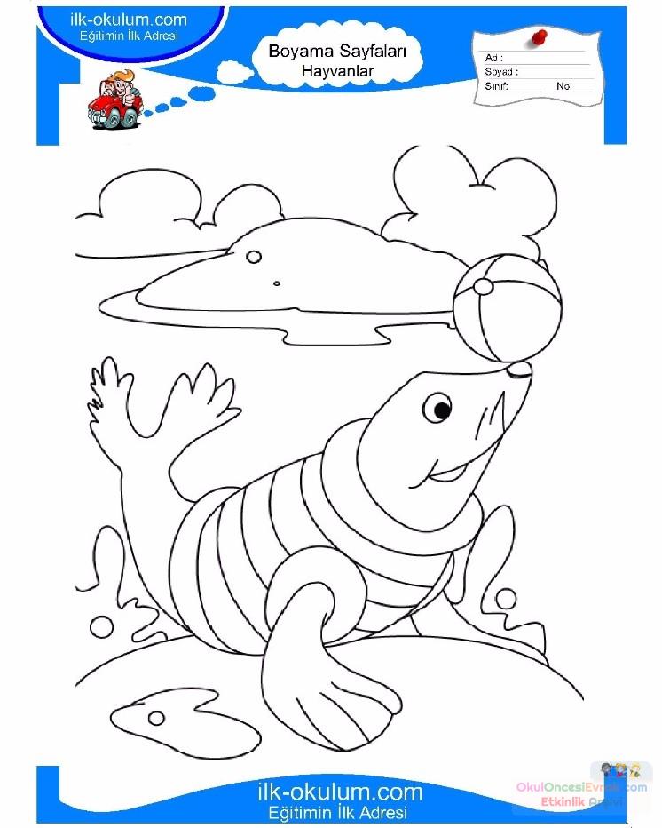 Fok Baligi Boyama Preschool Activity – Bilarasa Fok Baligi Boyama Preschool Activity – Bilarasa