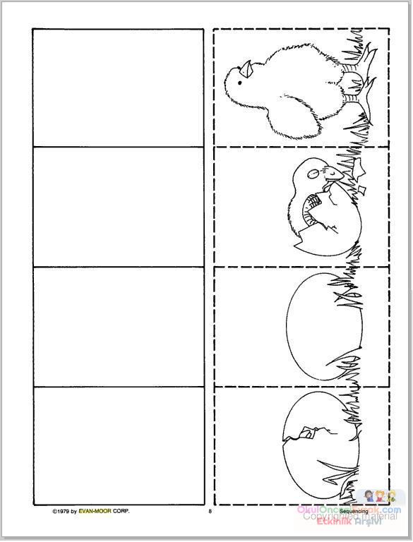 Life-Cycle-of-a-chicken-coloring-page | preschool activity