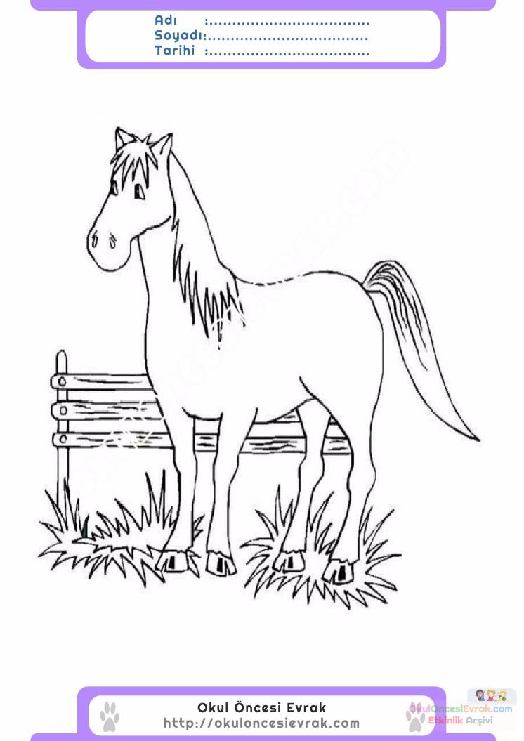 çocuklar-için-hayvan-At-boyama-sayfası-12 | preschool activity