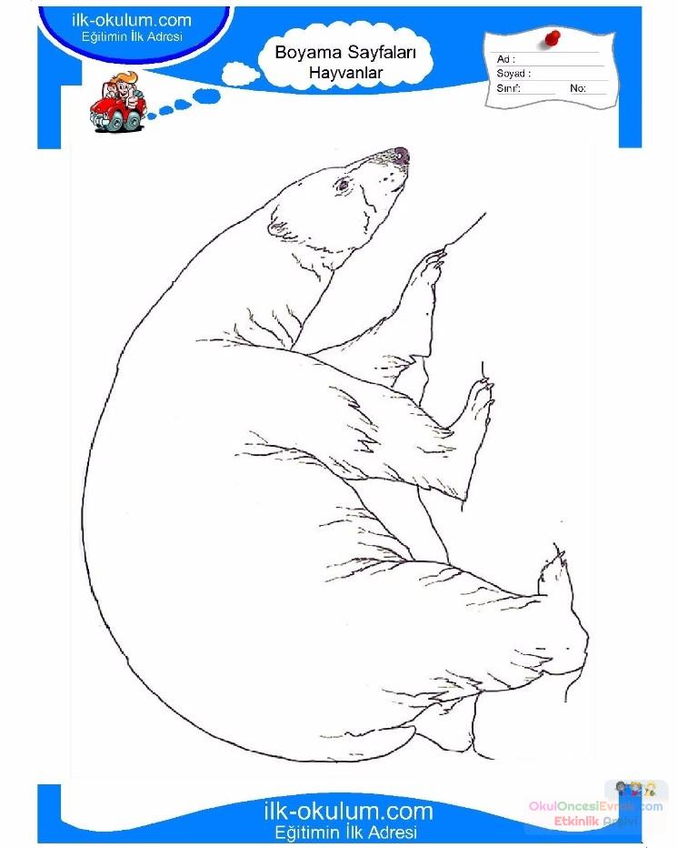 çocuklar-için-hayvan-Ayı-boyama-sayfası-26 | preschool activity