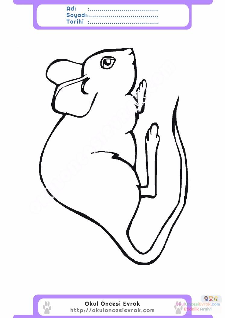 çocuklar-için-hayvan-hayvan-Fare-boyama-sayfası-30 | preschool activity